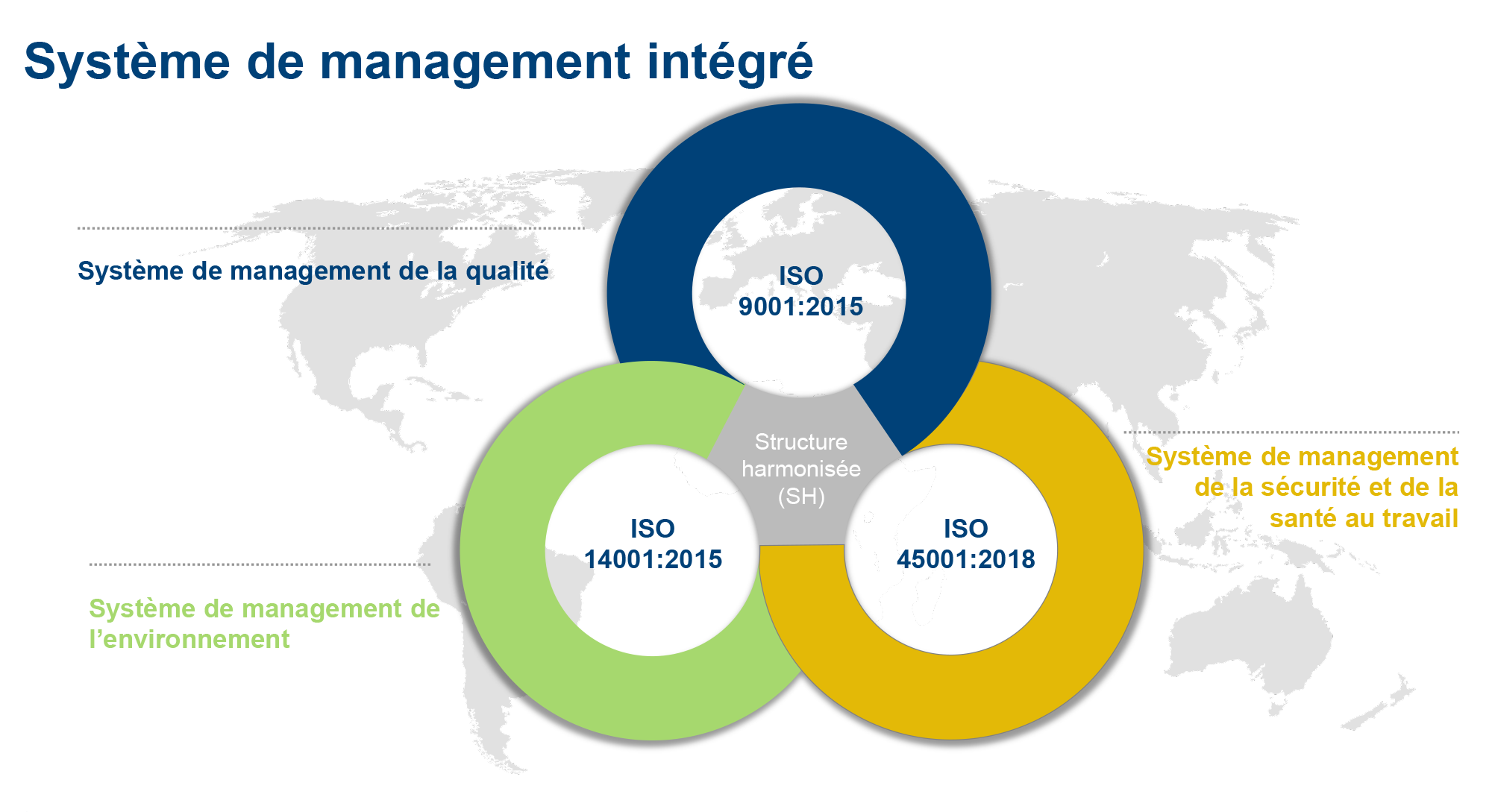 ISO 14001:2015 – Signification, exigences et chapitres | SQS